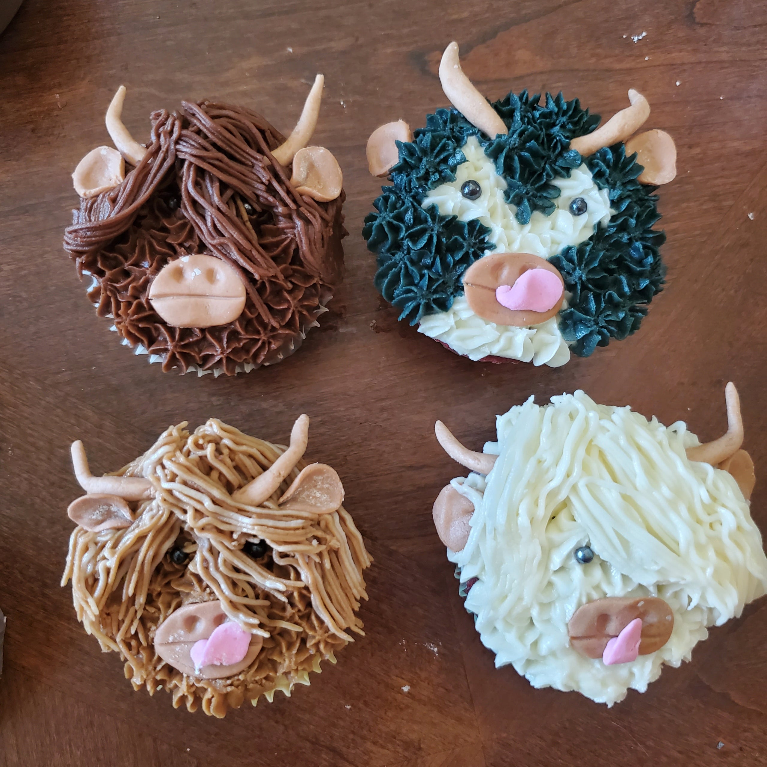Highland Cow Cupcakes | Sassafras Sweet Treats